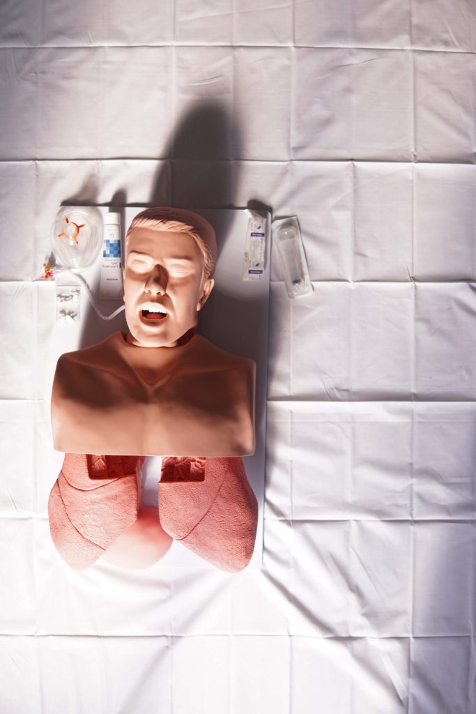 Buy High-Quality Adult Airway Management Trainer by Simulaids