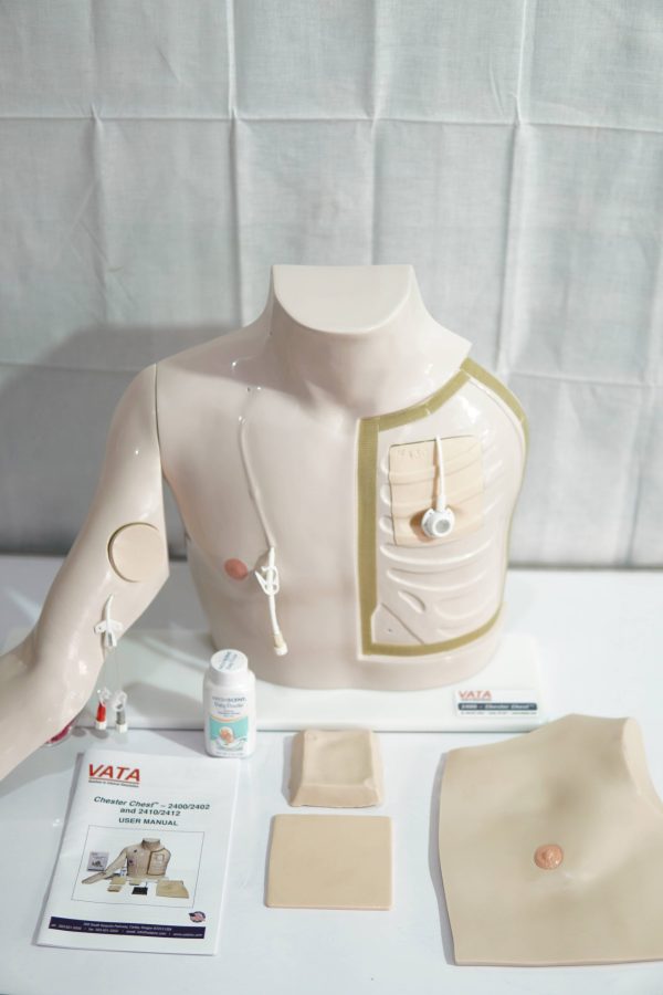 Buy Chester Chest™ with Standard Arm for Hands-On Training