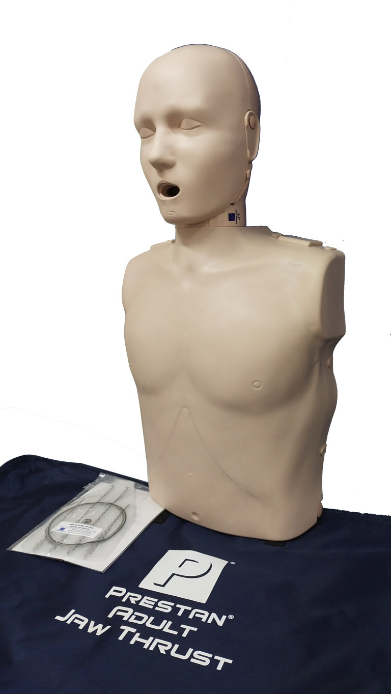Enhance Training with Professional Adult Jaw Thrust Manikin | Buy Now!!!